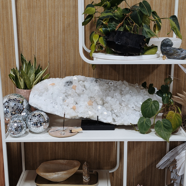 Shop All – Wild Alabaster