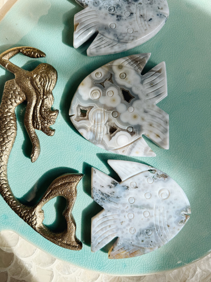 Ocean Jasper Fish – Wild Alabaster