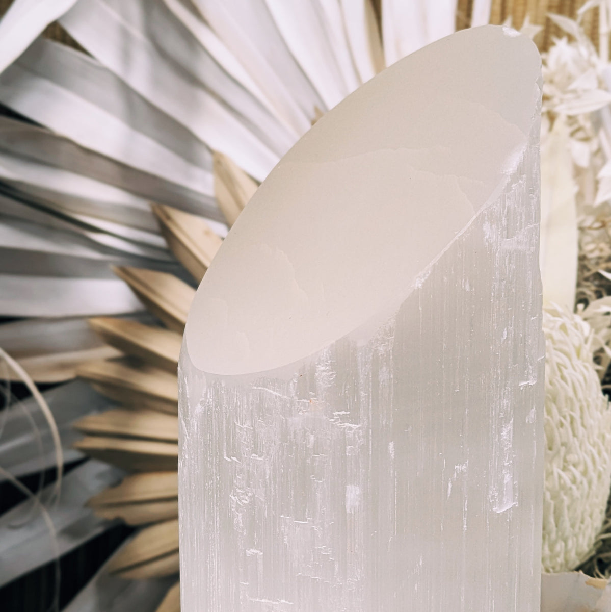 Intuitively Chosen Raw + Polished Selenite Cylinder Lamp – Wild Alabaster