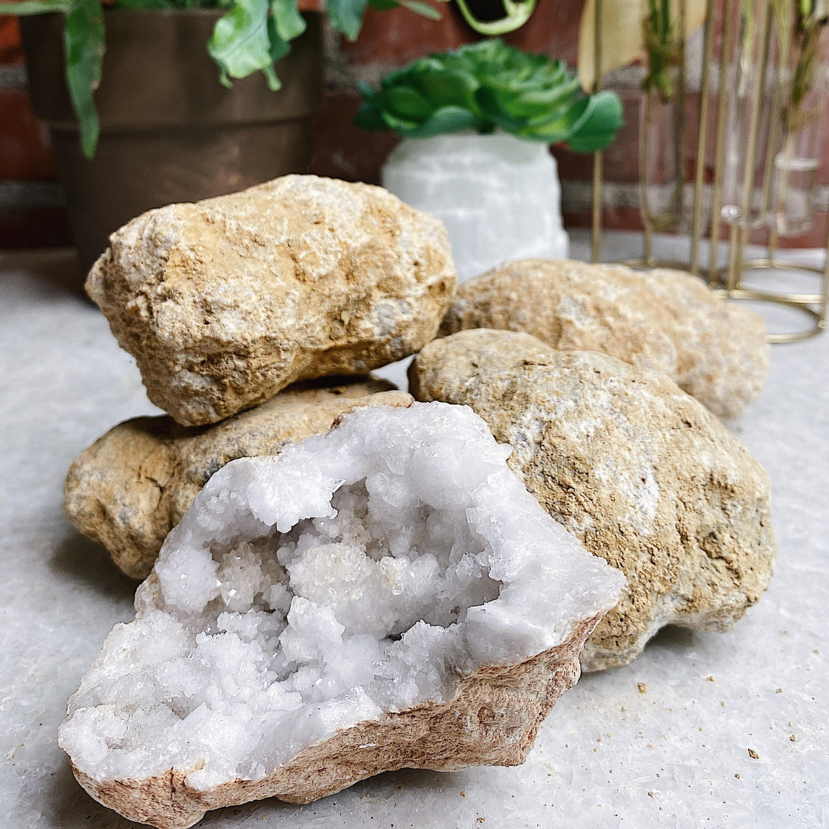 Break Your Own Geodes – Wild Alabaster